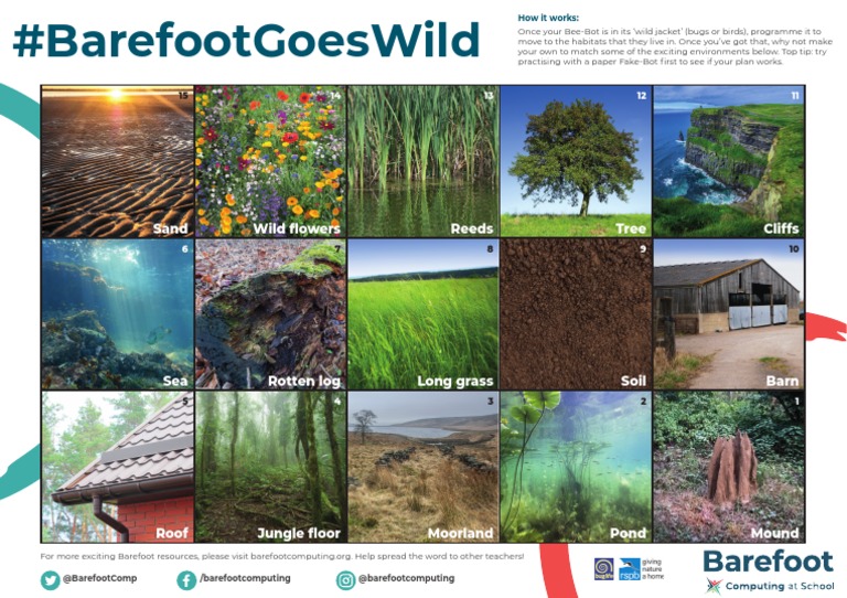 Barefoot Goes Wild Mat | PDF