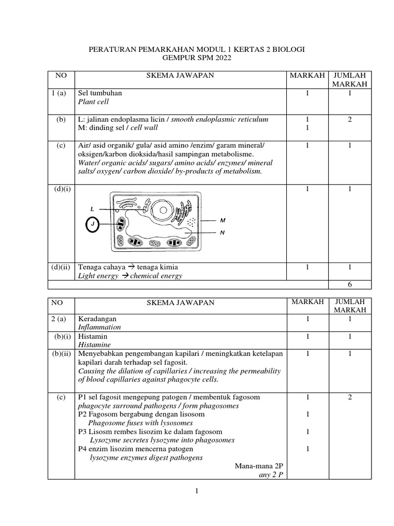 Skema Bio k2 m1 Gempur 2022 | PDF