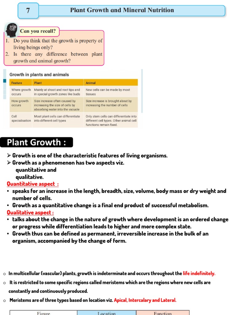 Bio Ch7 Premium Notes 12th | PDF