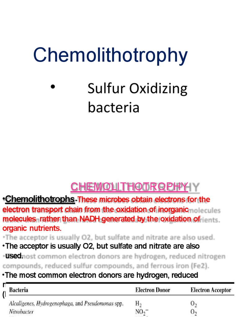 CHEMOLITHOTROPHS | PDF | Chemistry | Physical Sciences