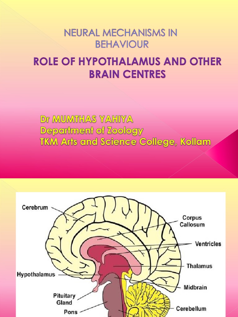 Behavioural Mechanism and Neural Control | PDF Behavioural Mechanism and Neural Control | PDF