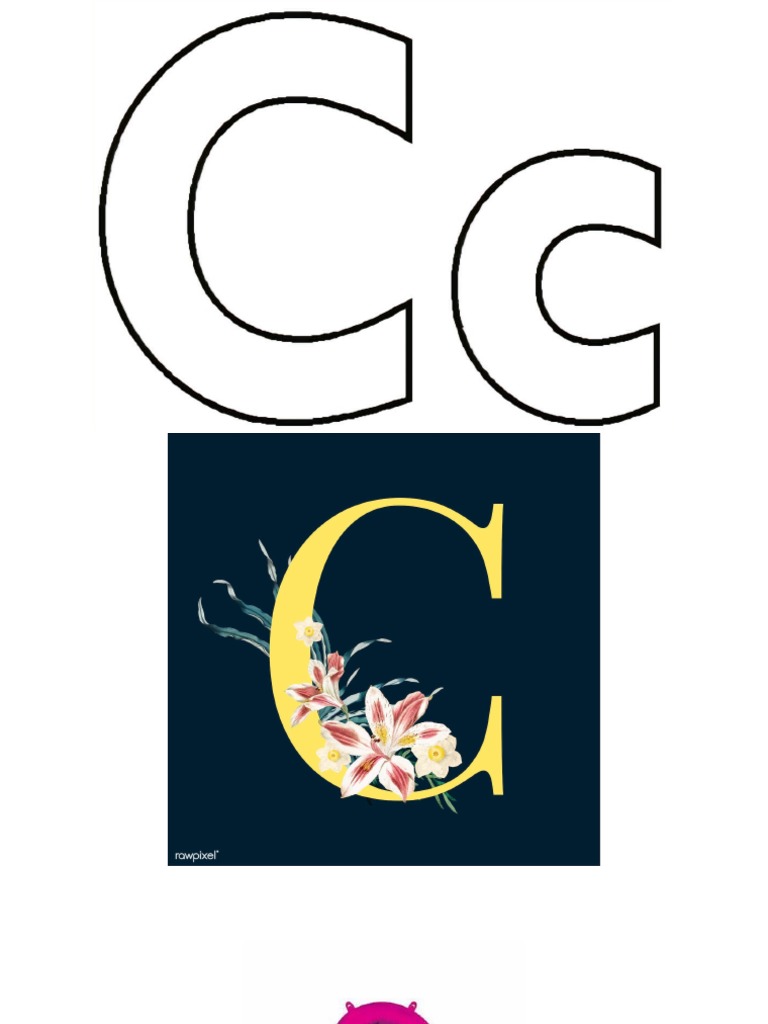 Letter C Items | PDF