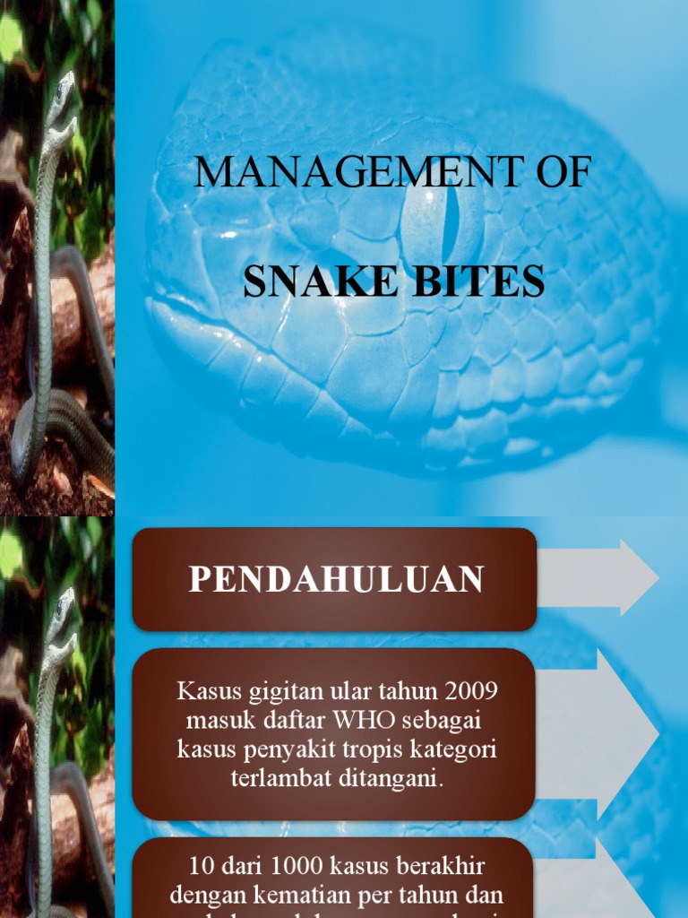 Snake Bite | PDF