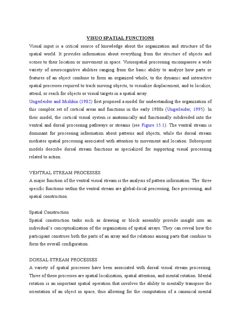 Visuo Spatial Functions | PDF | Brain | Neuroscience