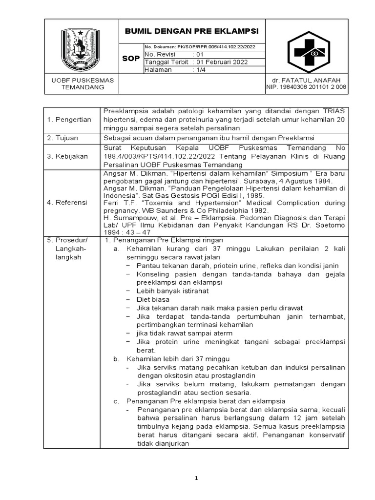 Sop Bumil Dengan Pe | PDF