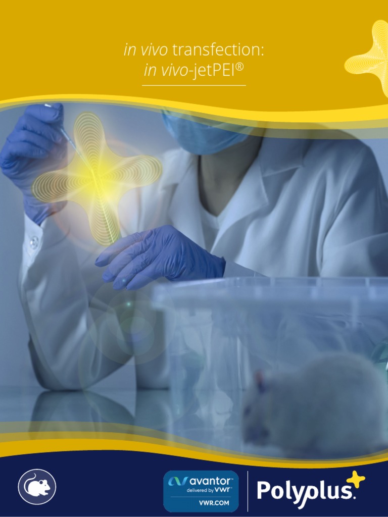 Polyplus-Transfection® in Vivo Transfection in vivo-jetPEI® | PDF