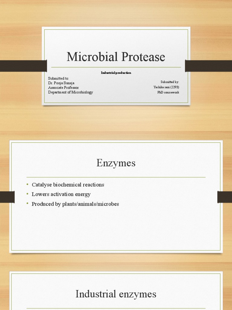 PROTEASE | PDF | Protease | Proteolysis