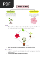 Pollination Worksheet | PDF