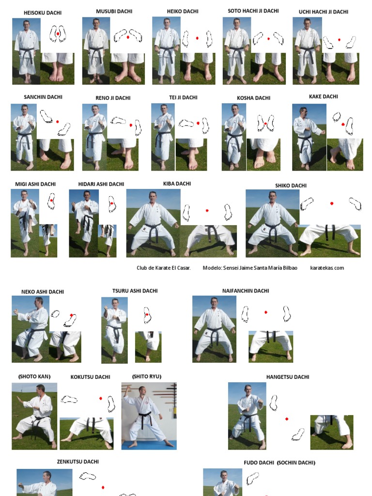 Posiciones de Dachi en Karate Shito Ryu | PDF