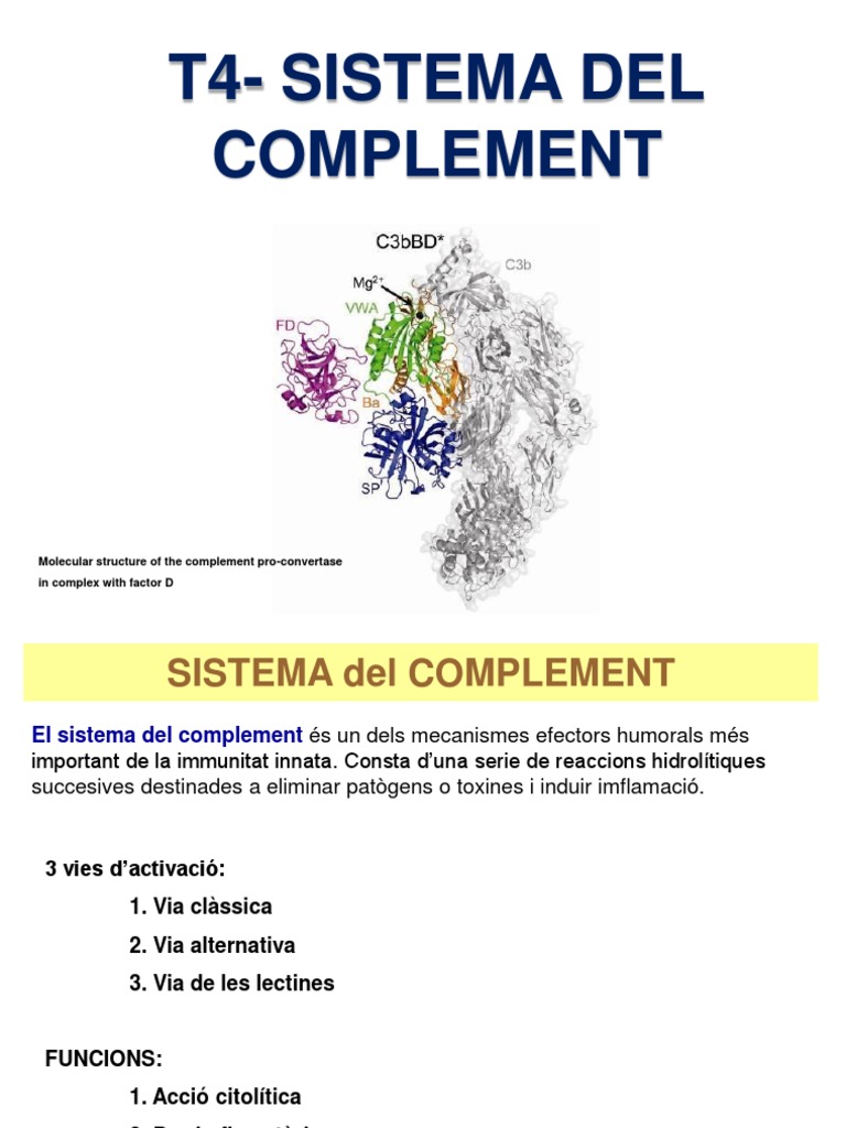 t4 Complement | PDF