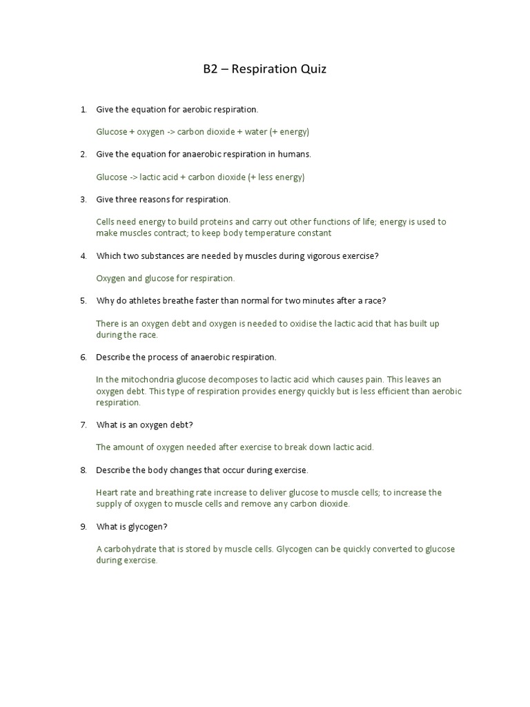 Respiration Quiz | PDF