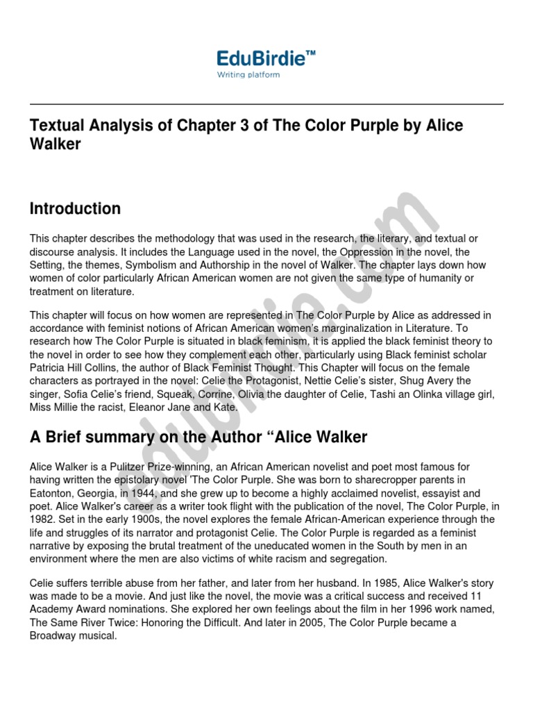 Textual Analysis of Chapter 3 of The Color Purple by Alice Walker | PDF