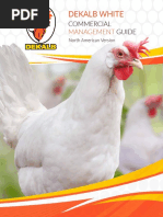 Broiler Feeding Chart 2 | PDF | Broiler | Birds