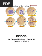 Meiosis Notes 2025 | PDF | Meiosis | Chromosome