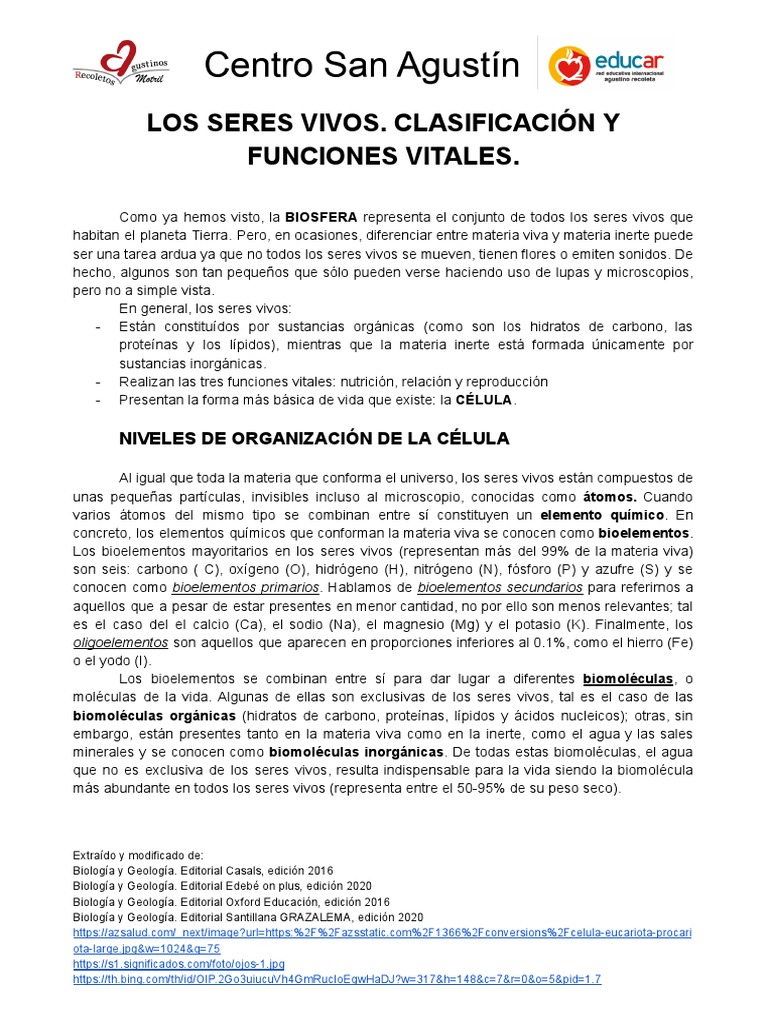 Los Seres Vivos. Clasificación y Funciones Vitales. | PDF | Biología ...