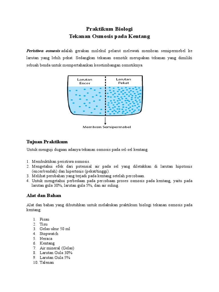 Praktikum Osmosis | PDF