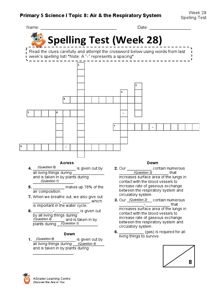 Spelling Test: Air & Respiratory System | PDF | Respiratory System | Lung