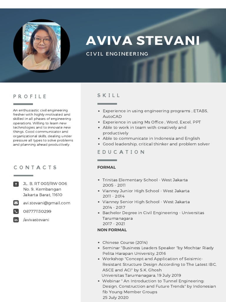 CV Aviva Stevani | Download Free PDF | Engineering
