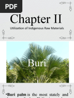 Buri Fiber - Nature and Uses | PDF | Textiles | Trees
