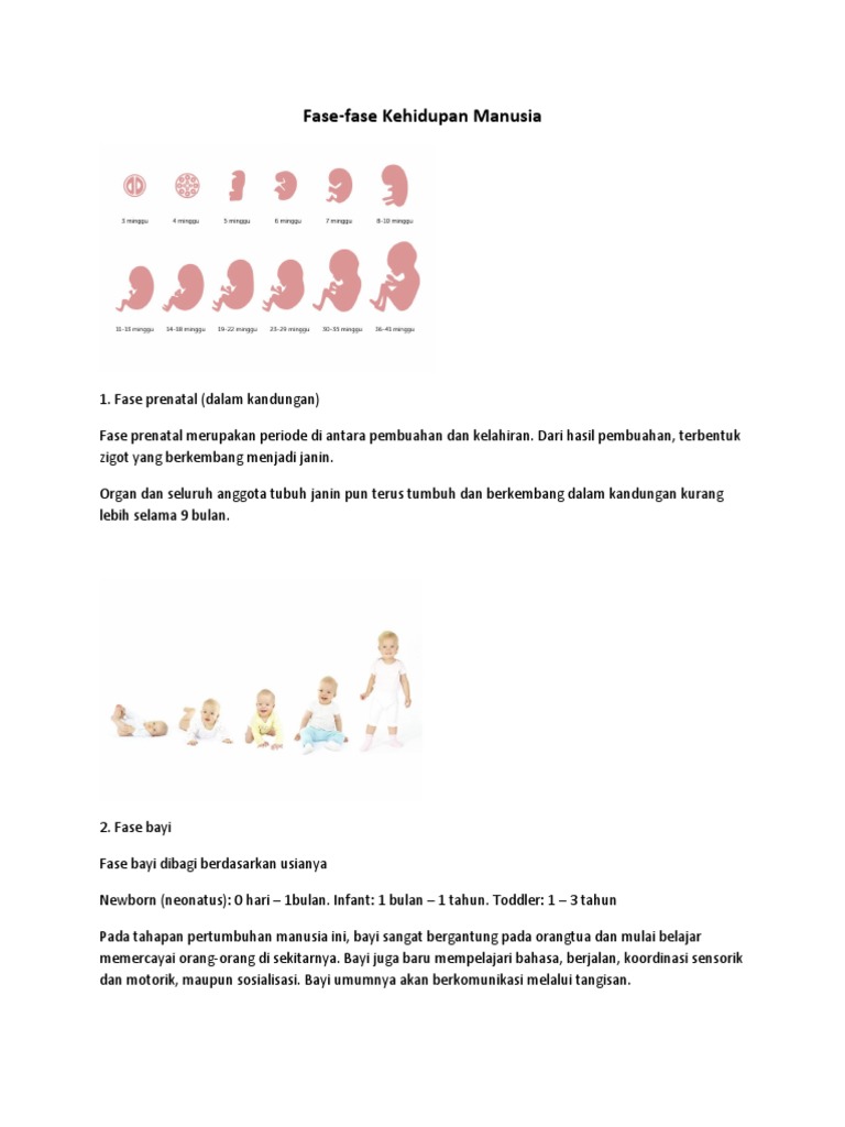 Fase-Fase Kehidupan Manusia | PDF Fase-Fase Kehidupan Manusia | PDF