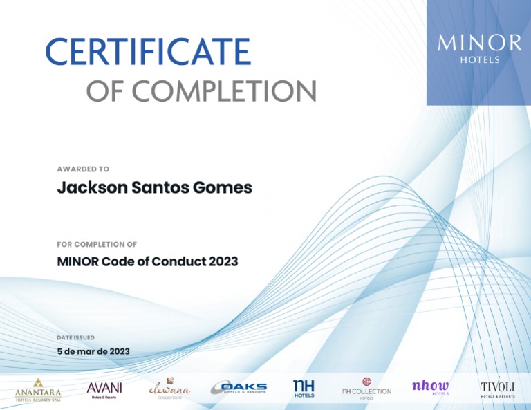 Certificate For MINOR Code of Conduct 2023 | PDF