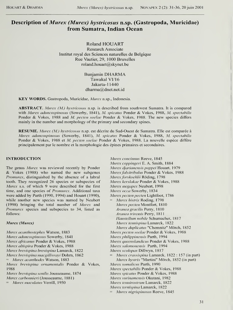 Description of Murex (Murex) Hystricosus N.sp. (Gastropoda, Muricidae ...