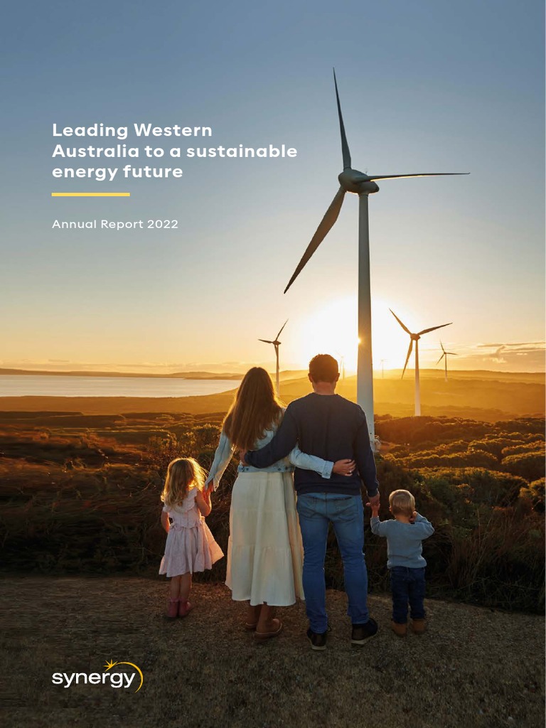 2021 22 Synergy Annual Report Financial | Download Free PDF | Power ...