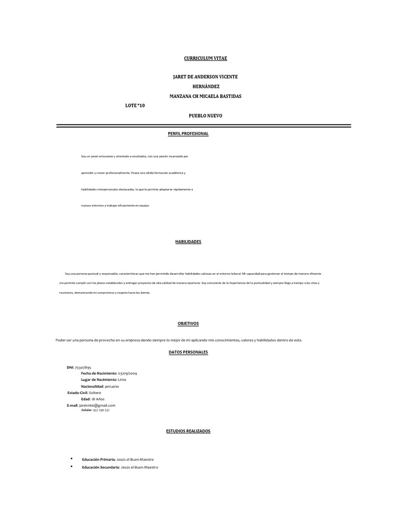 Curriculum Vitae Completo Fin | PDF | Plan de estudios