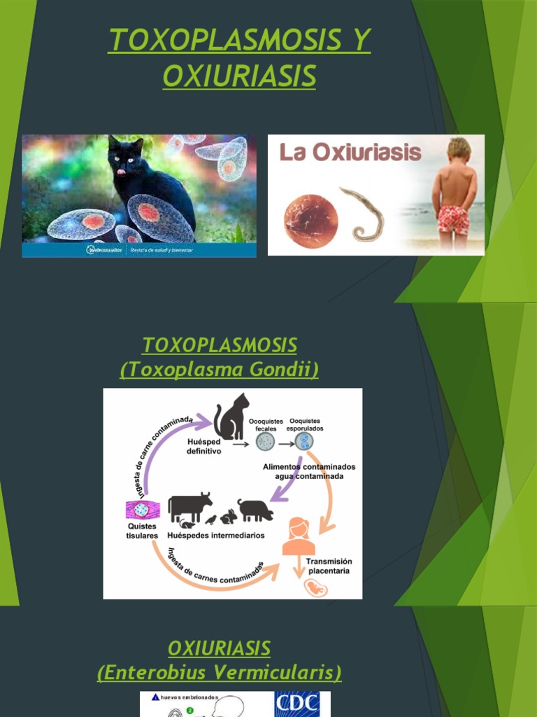 Toxoplasmosis y Oxiuriasis | PDF