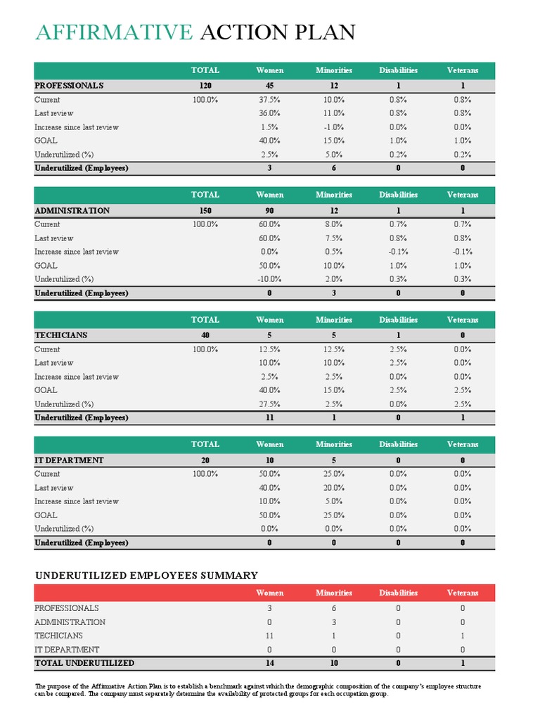 Affirmative Action Plan Template | PDF | Anti Social Behaviour | Civil ...
