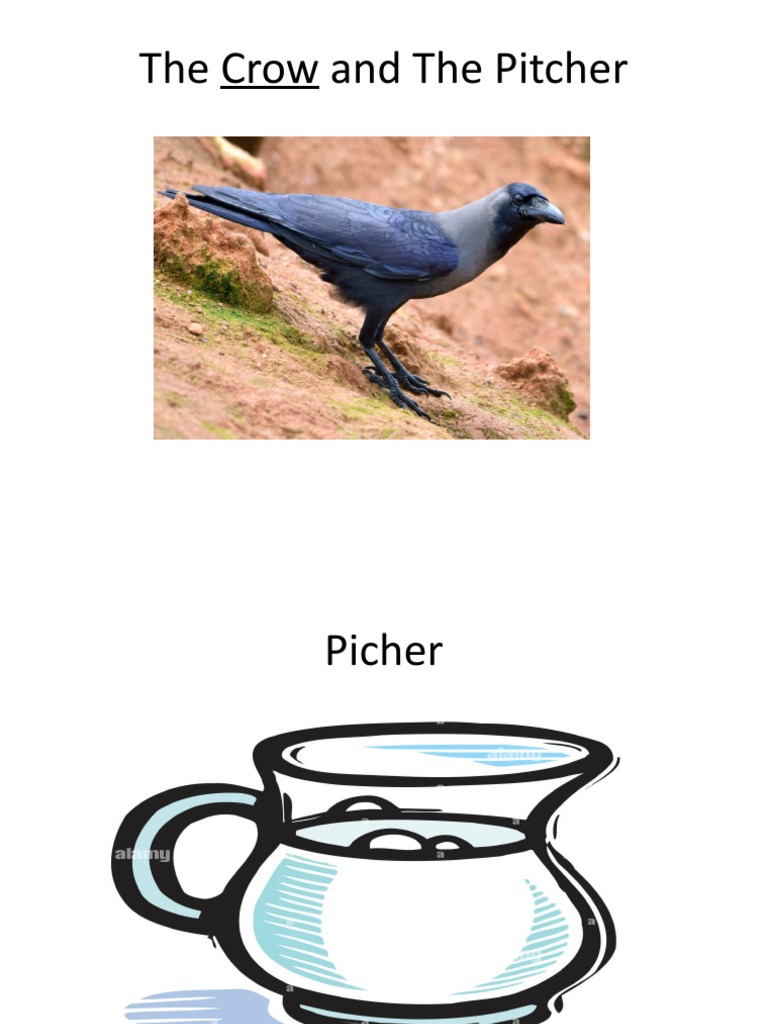 The Crow and the Pitcher | PDF