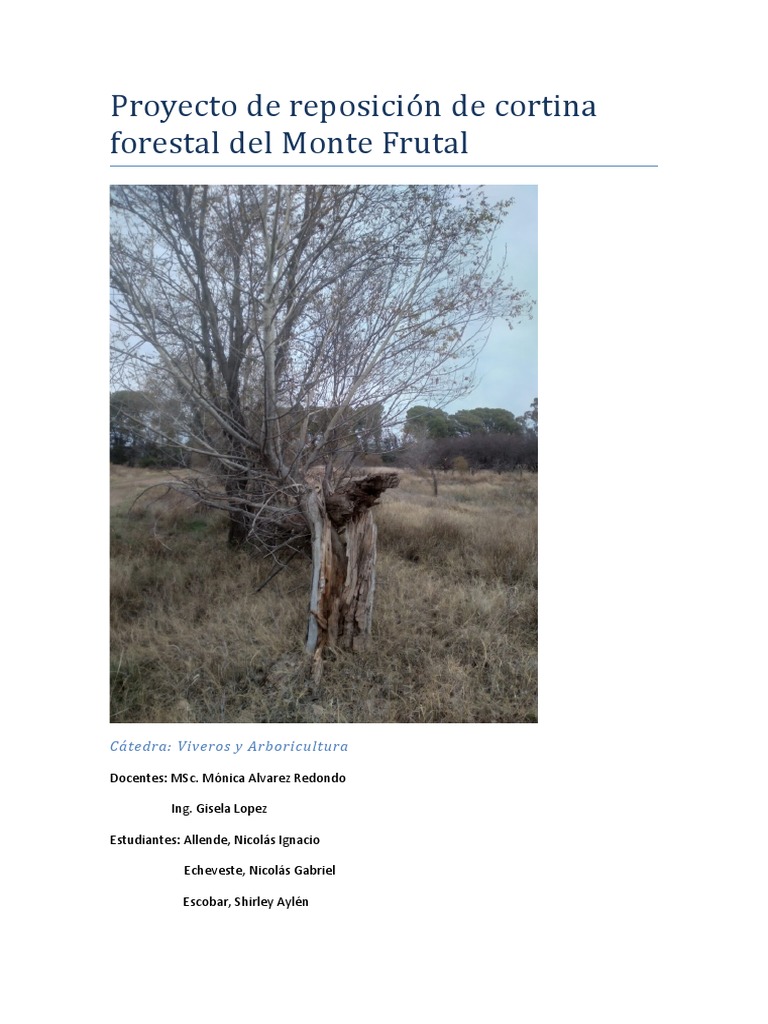 Proyecto Cortina Corta Vientos | PDF | Riego | Arboles