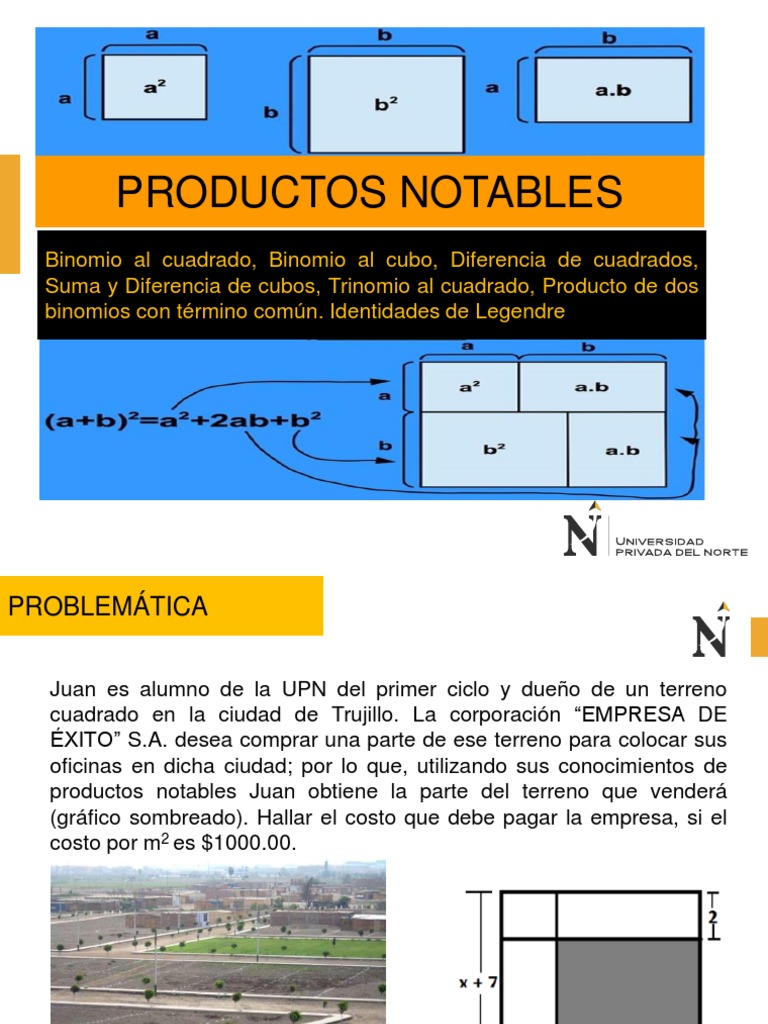 Productos Notables en Algebra | PDF | Matemáticas | Álgebra