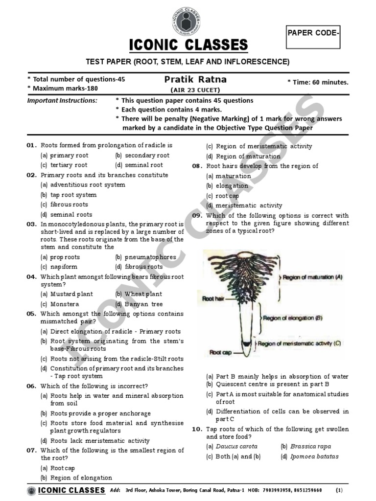 Root, Stem, Leaf and Inflorescence-27-08-23 | PDF | Leaf | Root