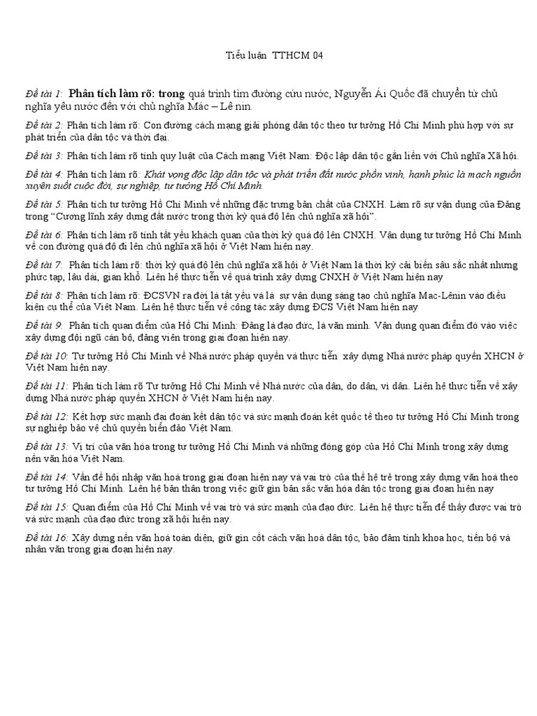 Đề Tài Tieu Luan 04 | PDF