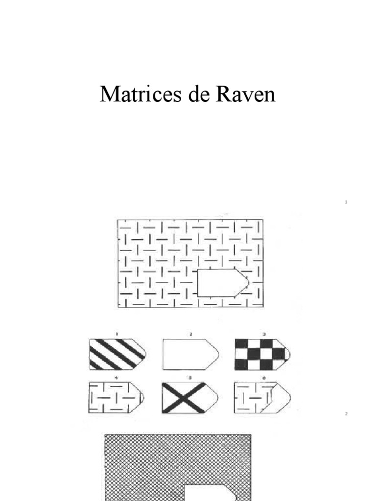 MATRICES DE RAVEN | PDF