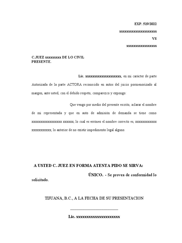 Aclaracion Nombre Del Actor Demanda Civil | PDF