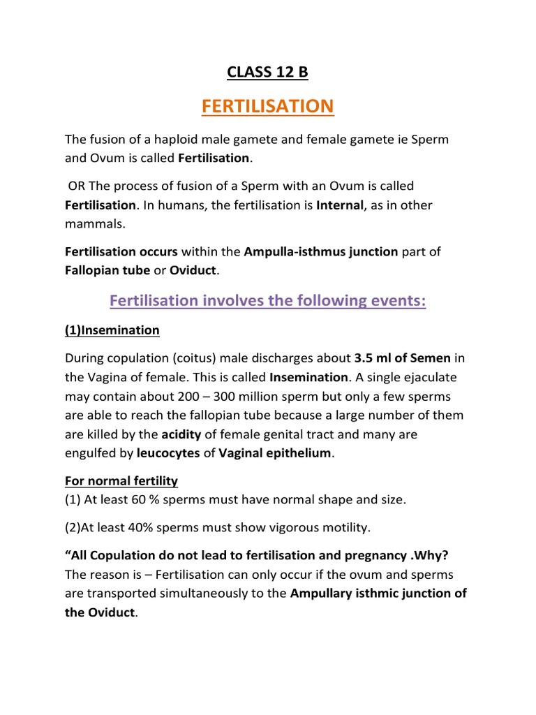 Class 12 B | PDF | Fertilisation | Sperm