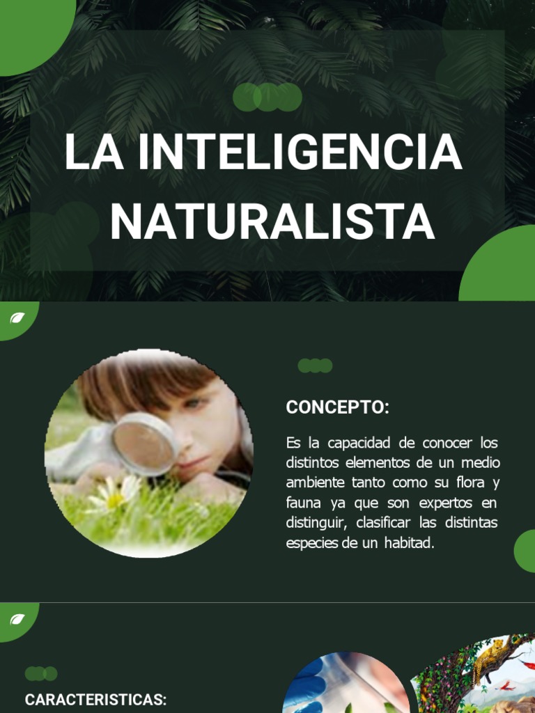 Inteligencia Naturalista: Definición y Características | PDF