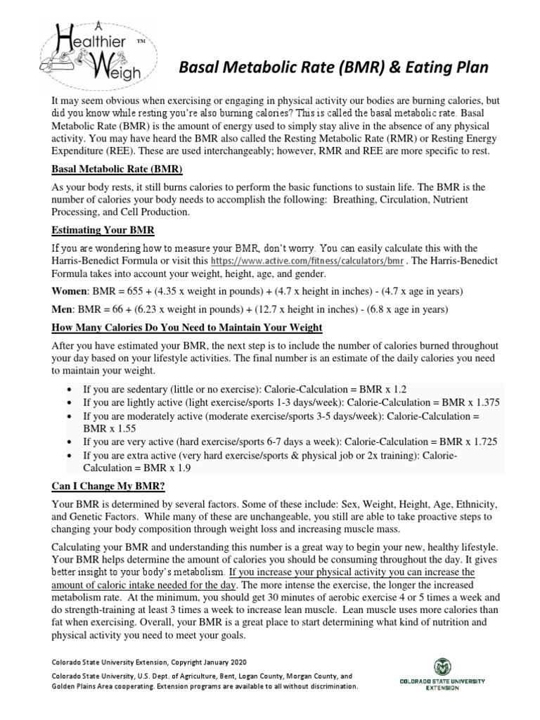 Basal Metabolic Rate Eating Plan | PDF | Dieting | Fat