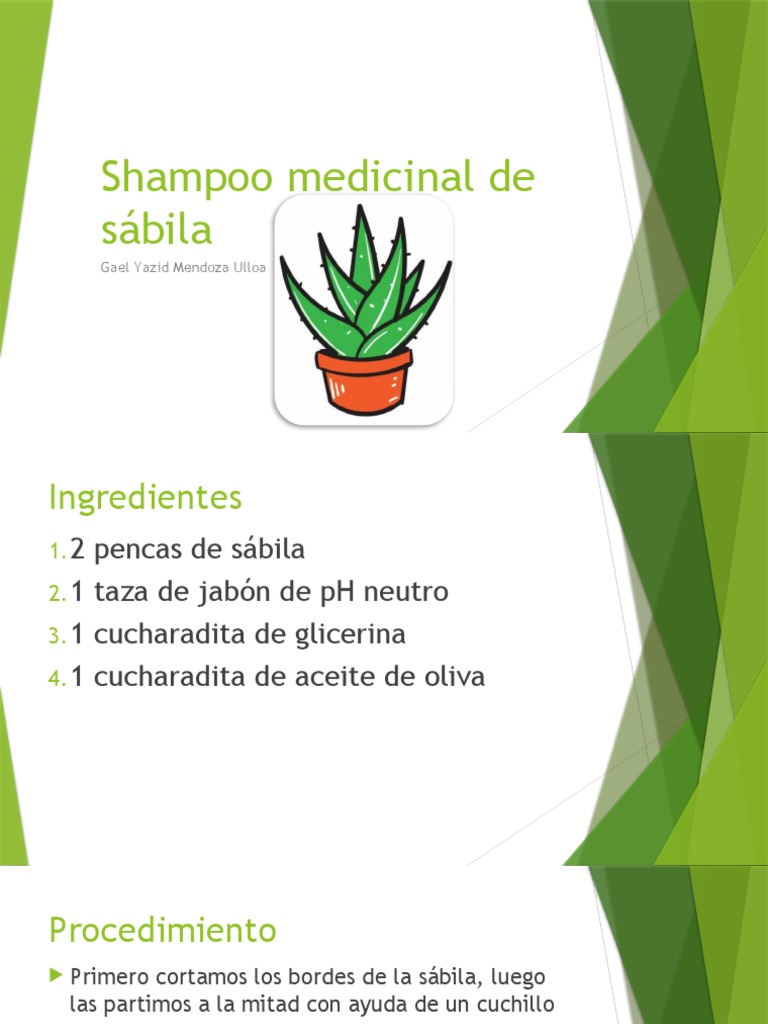 Shampoo Medicinal de Sábila | PDF | Cocina, comidas y vino