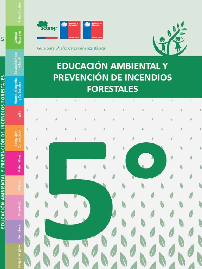 Articles-244965 Recurso 1 | PDF | Evaluación | Plan de estudios