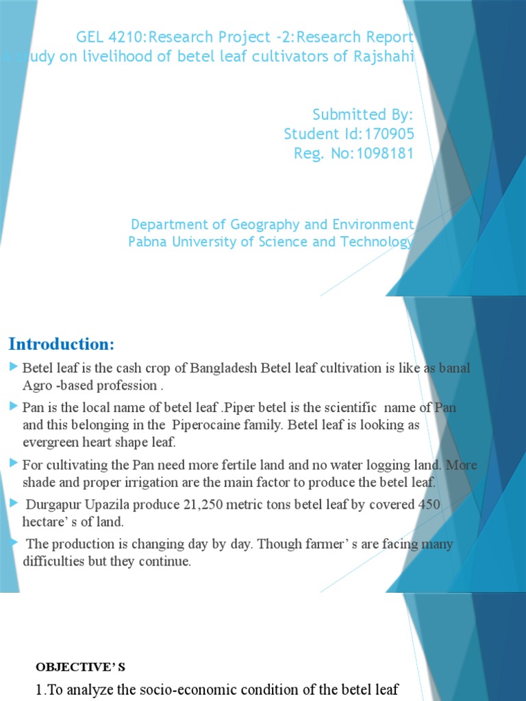 A Study On Livelihood of Betel Leaf Cultivators of Rajshahi | PDF | Data | Statistics