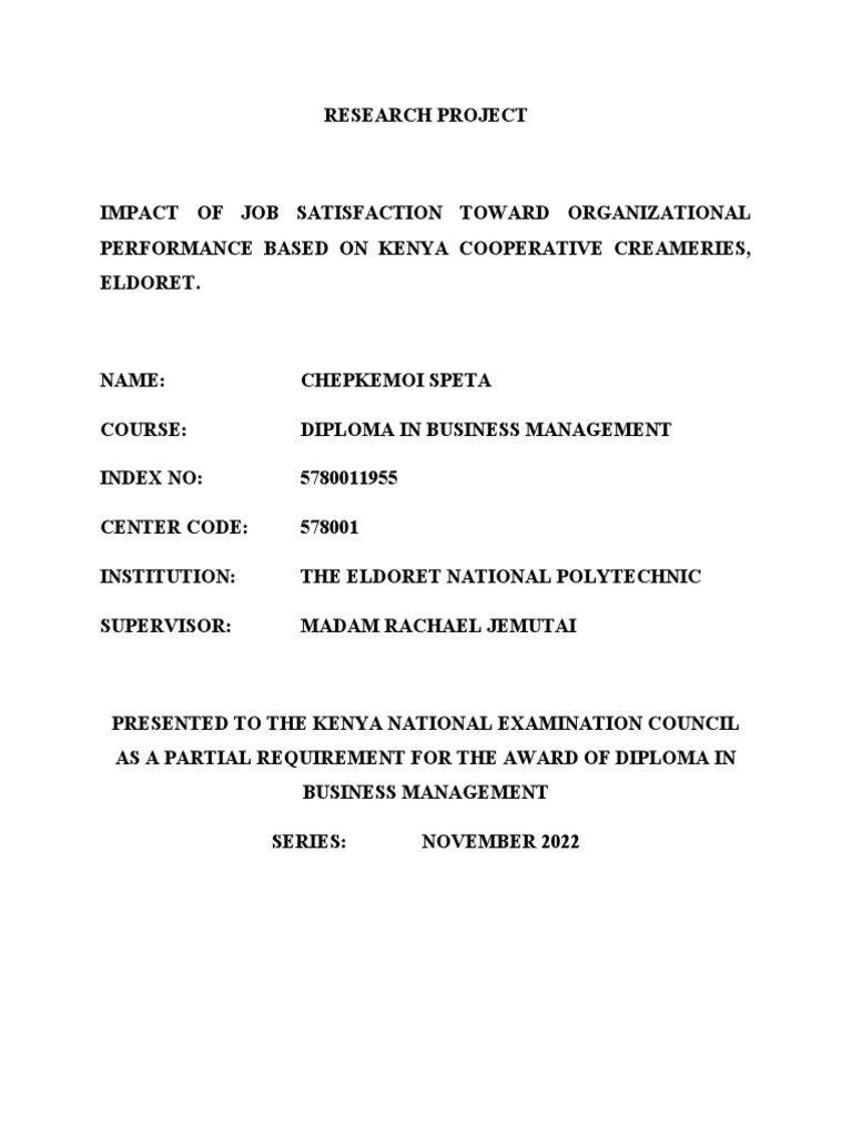 Final Project 5780011955 | PDF | Job Satisfaction | Motivation