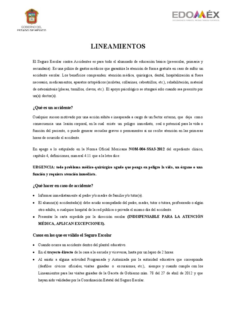 Lineamientos 2018-2019 | PDF | Hospital