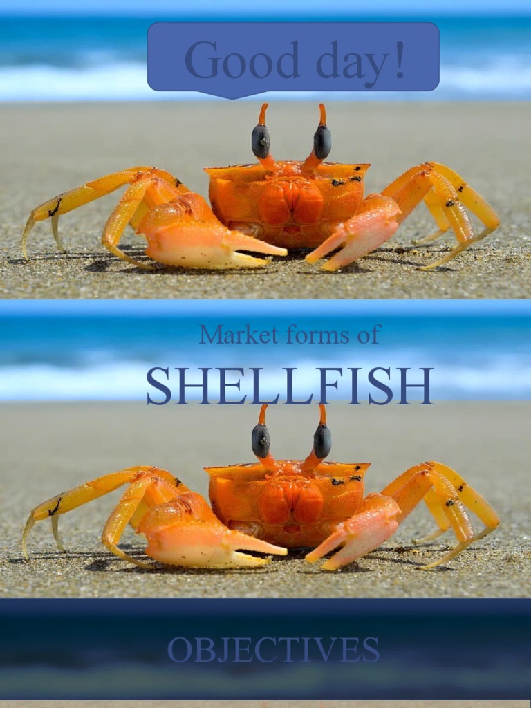 Market Forms of Shellfish | PDF | Crustacean | Mollusca