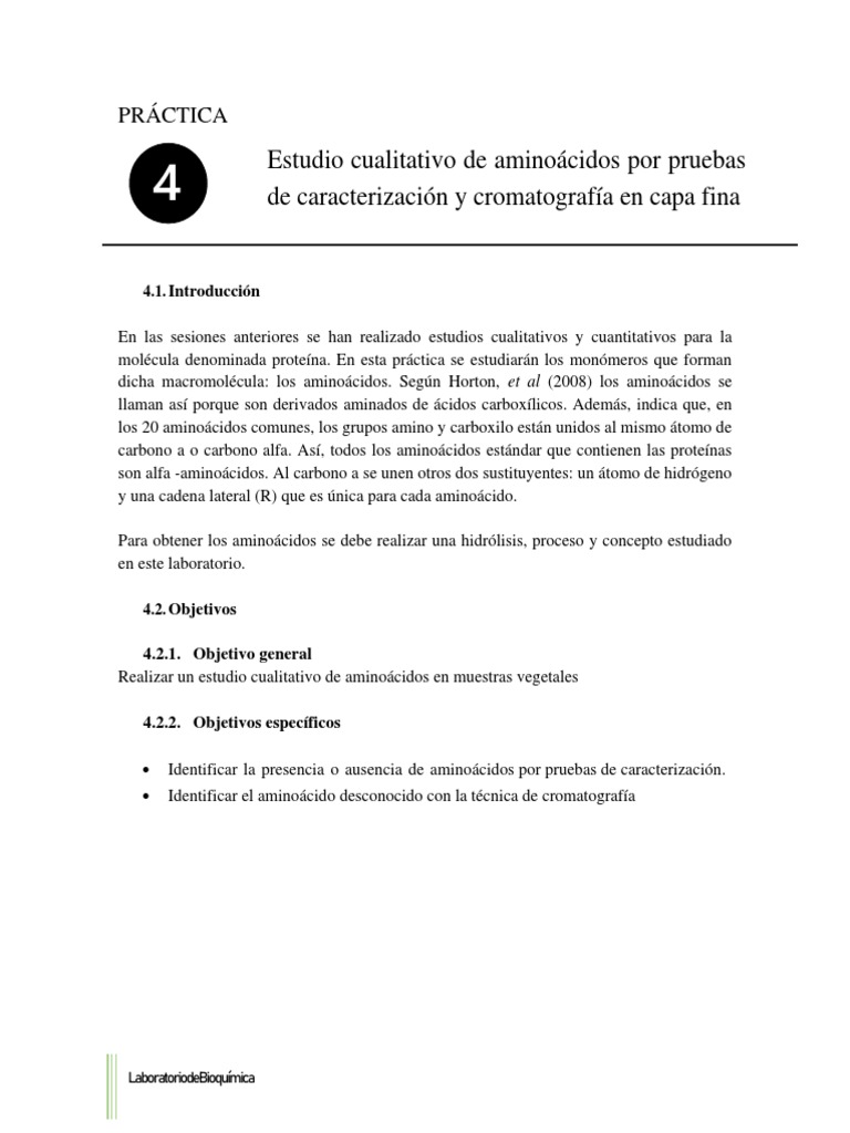 Practica 4 Bioquimica Descargar Gratis Pdf Aminoácidos Proteínas