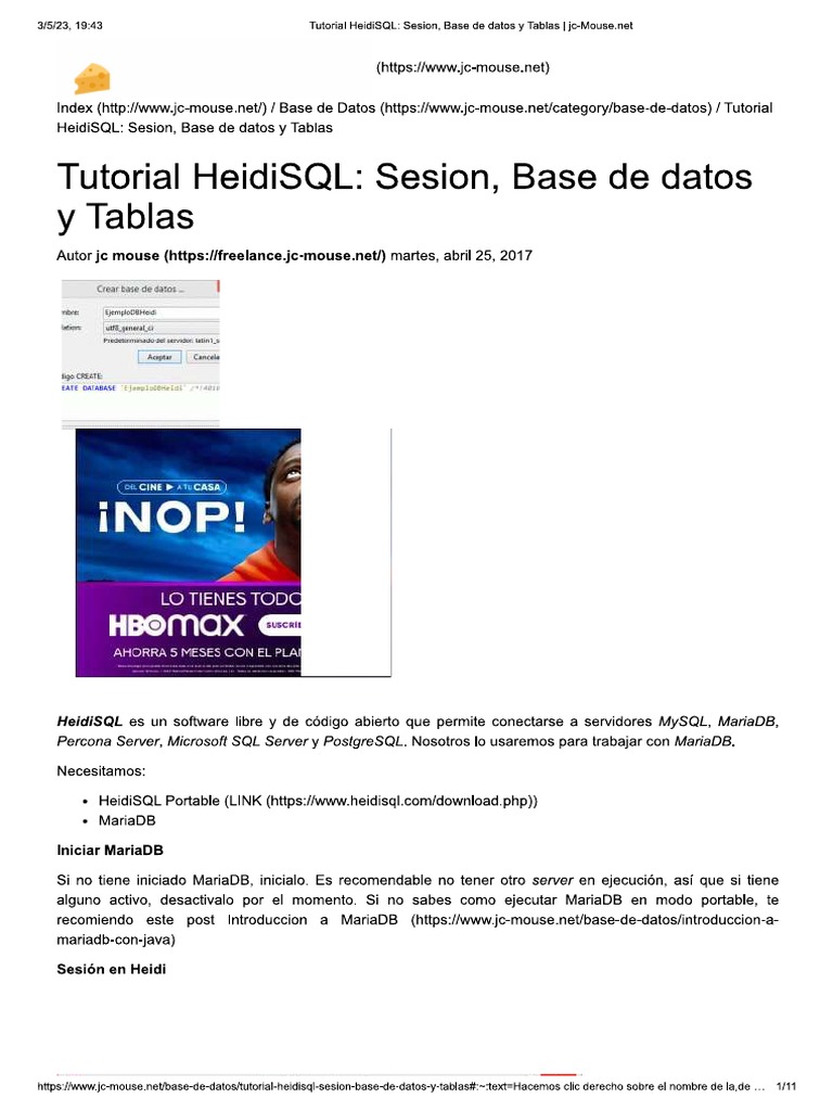 Base de Datos en Heidi | PDF