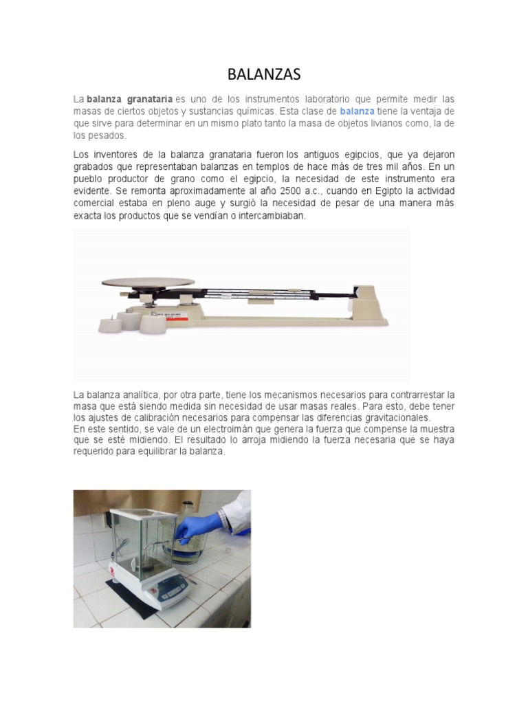 Balanzas Granataria y Analitica | Descargar gratis PDF | Balanza | Masa