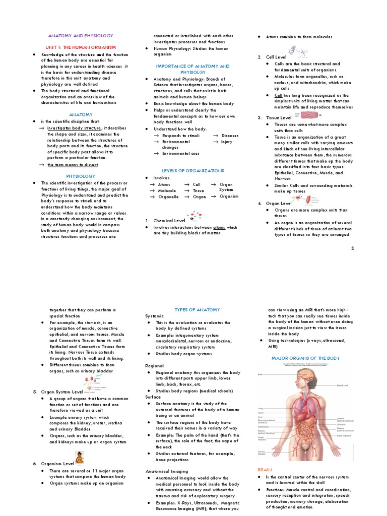 Anatomy and Physiology | PDF